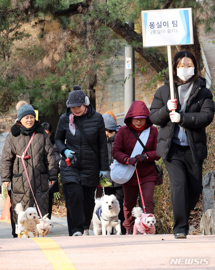 더쿠 서대문구 반려견과 함께하는 산책로 및 놀이터 개장 행사에 참석한 반려견들