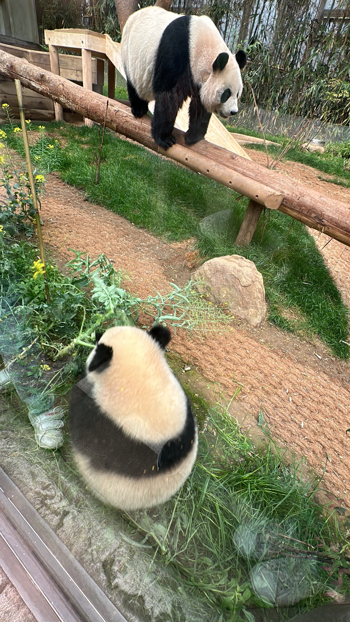더쿠 - 와 나 팬미팅 직관함ㅋ