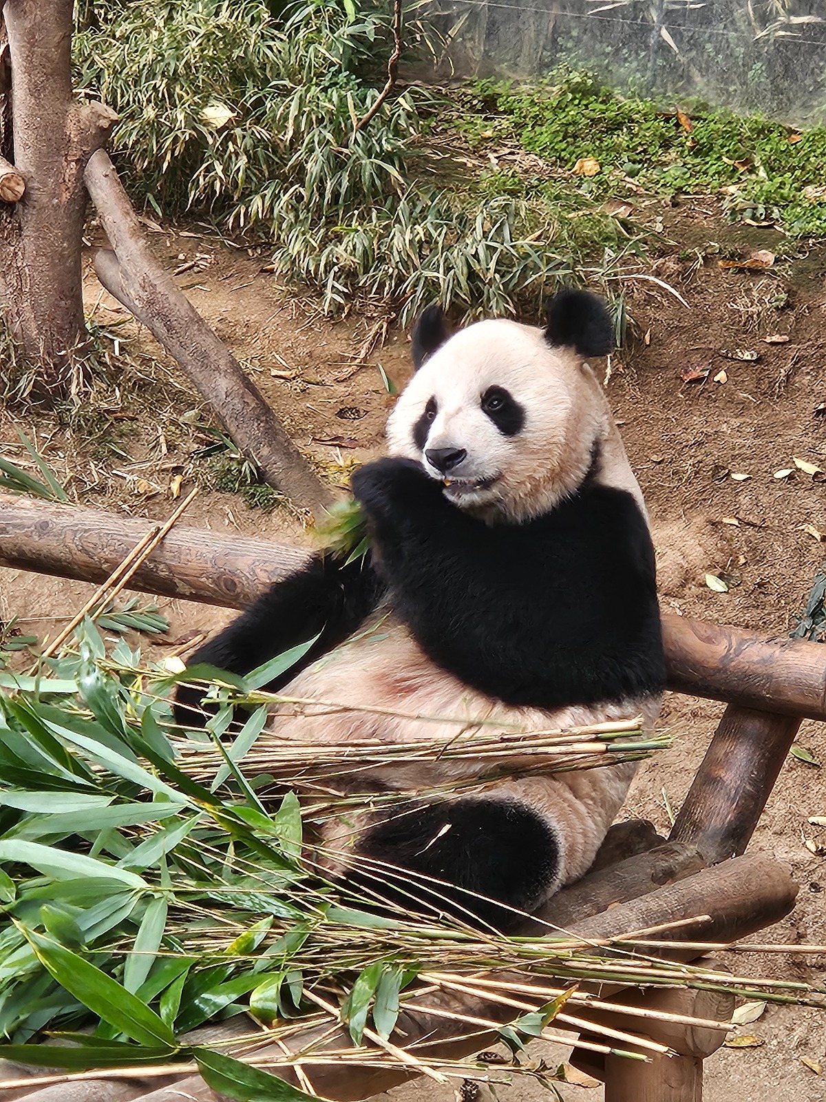 더쿠 - 지금 판월 대기시간 10분
