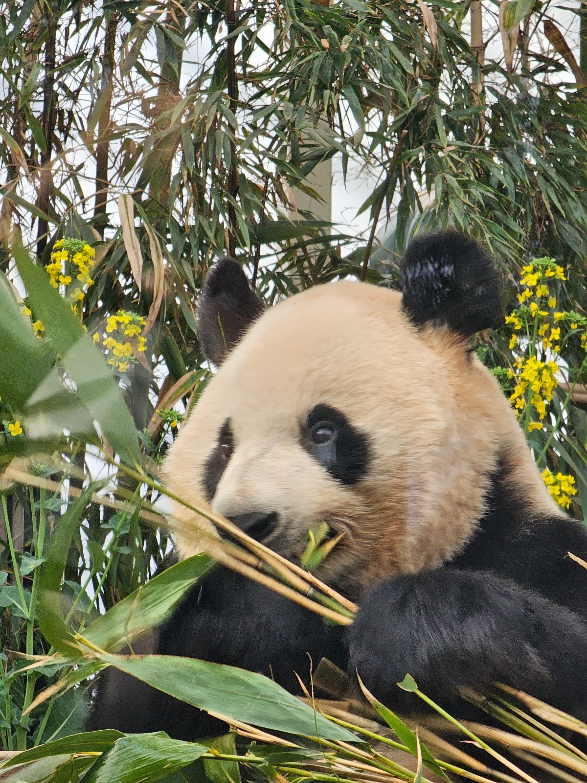 더쿠 - 오늘 사람 역대급이라 현줄 네번으로 마감...