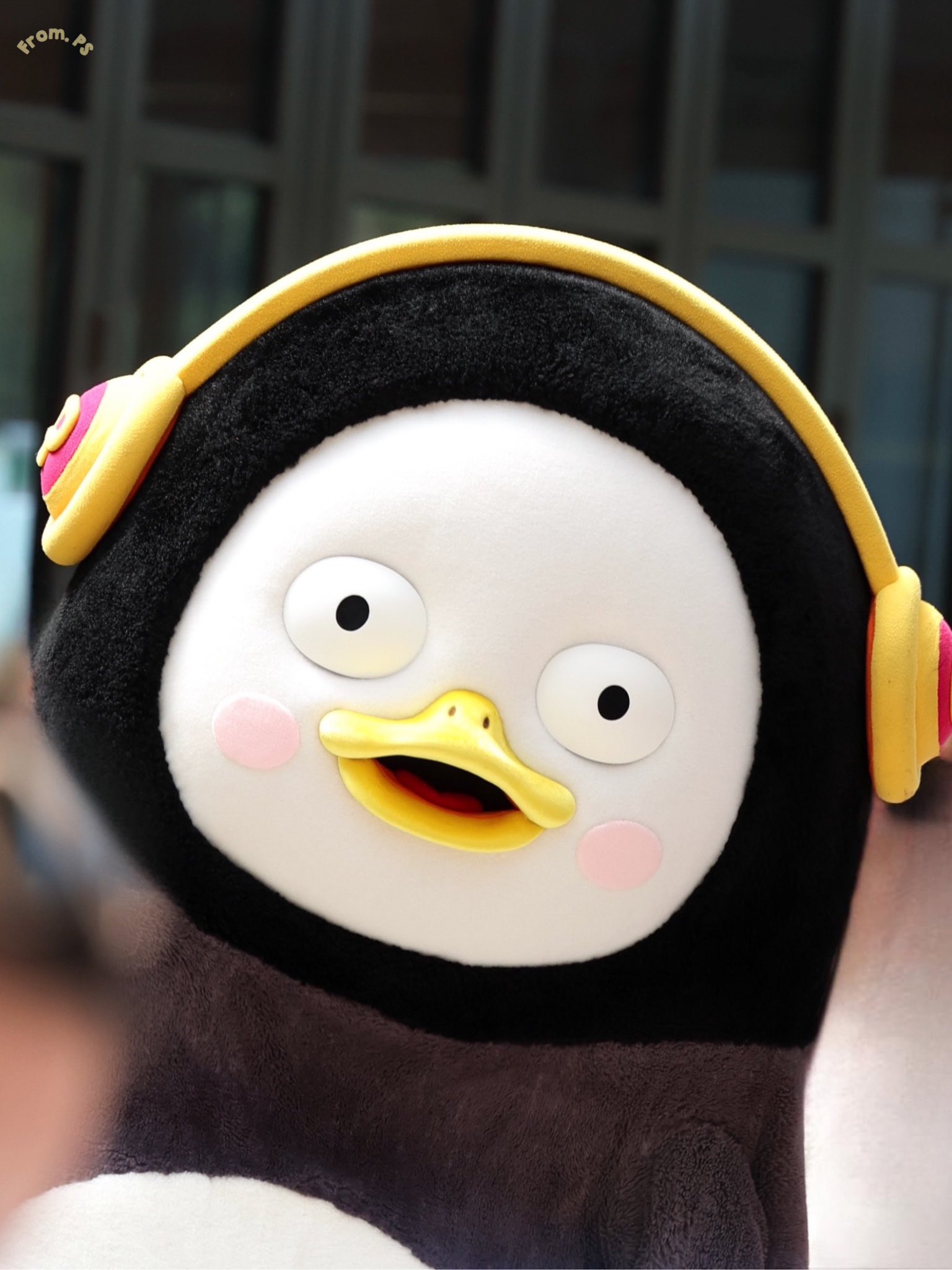 더쿠 - 펭수 사랑해