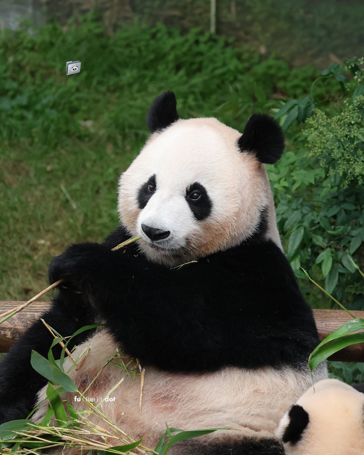 더쿠 - 찡긋 이뻐이뻐 사랑이