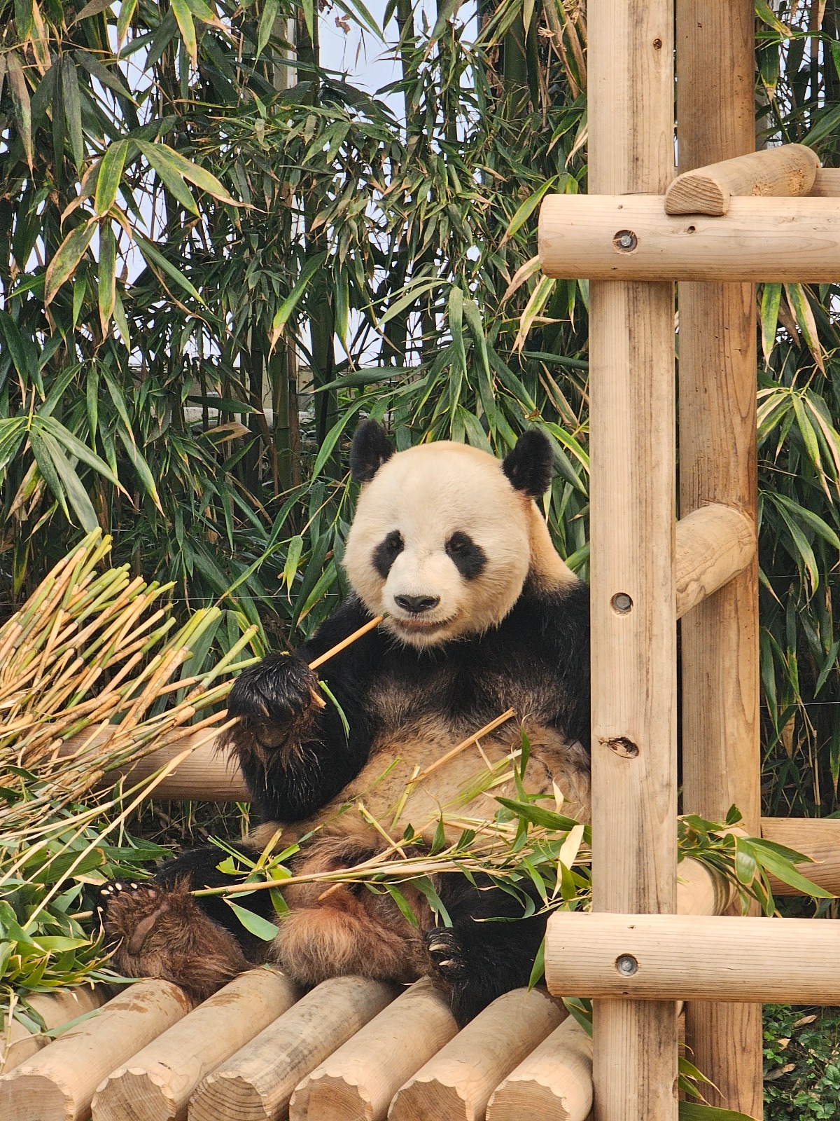 더쿠 - 오늘 사람 역대급이라 현줄 네번으로 마감...