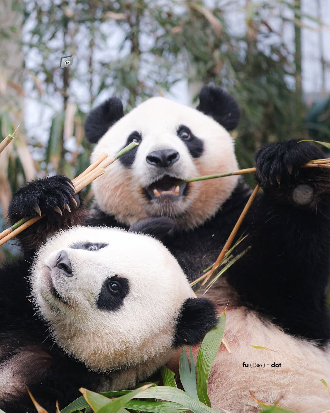 더쿠 - 오늘은 엄먀의 파후치勺