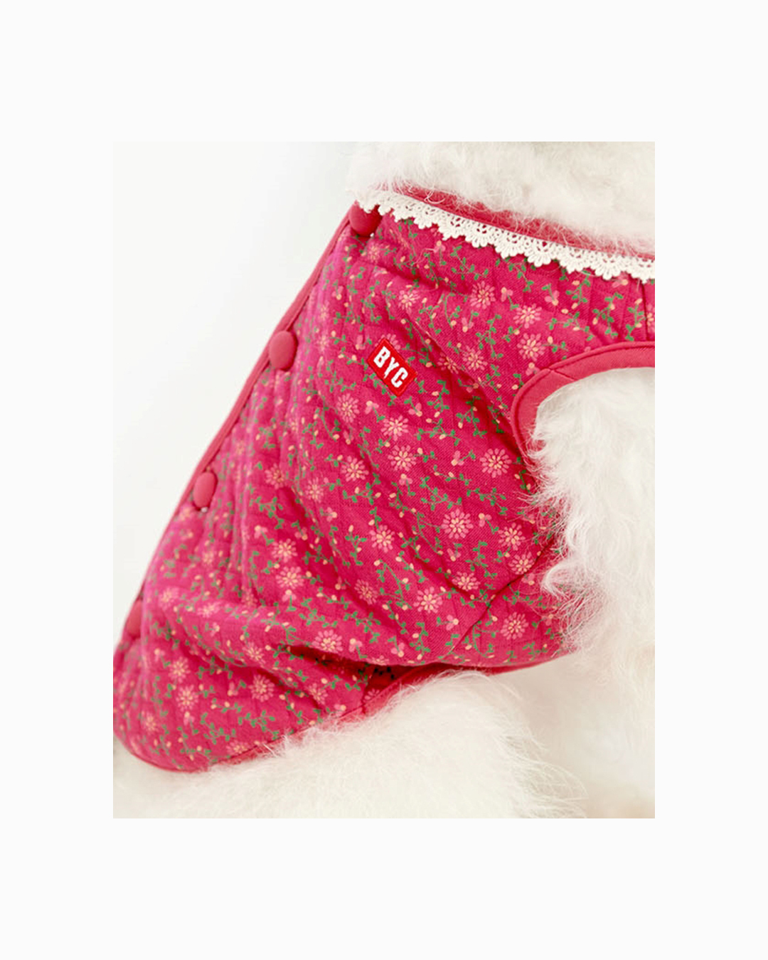 더쿠 - BYC가 23FW '개리야스' 신제품 중 김장조끼를 선보였습니다.