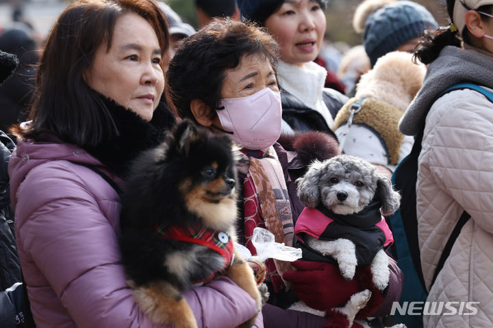 더쿠 서대문구 반려견과 함께하는 산책로 및 놀이터 개장 행사에 참석한 반려견들