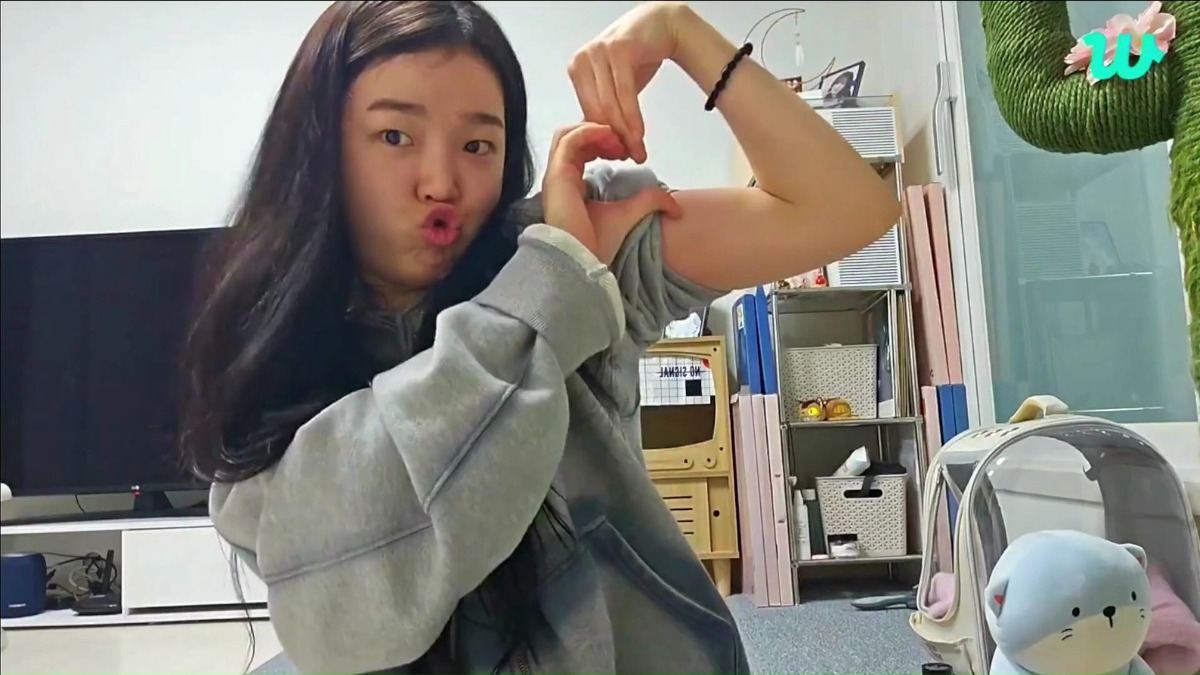 더쿠 - 개인적으로 유행하길 바라는 새로운 아이돌 하트 포즈