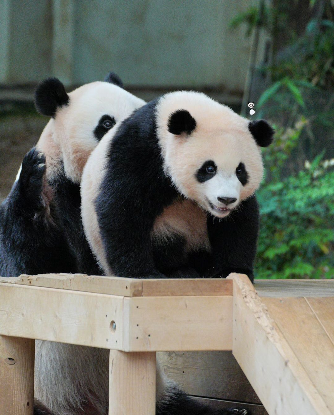 더쿠 - 툥후이 헤헷ㅋㅋㅋ