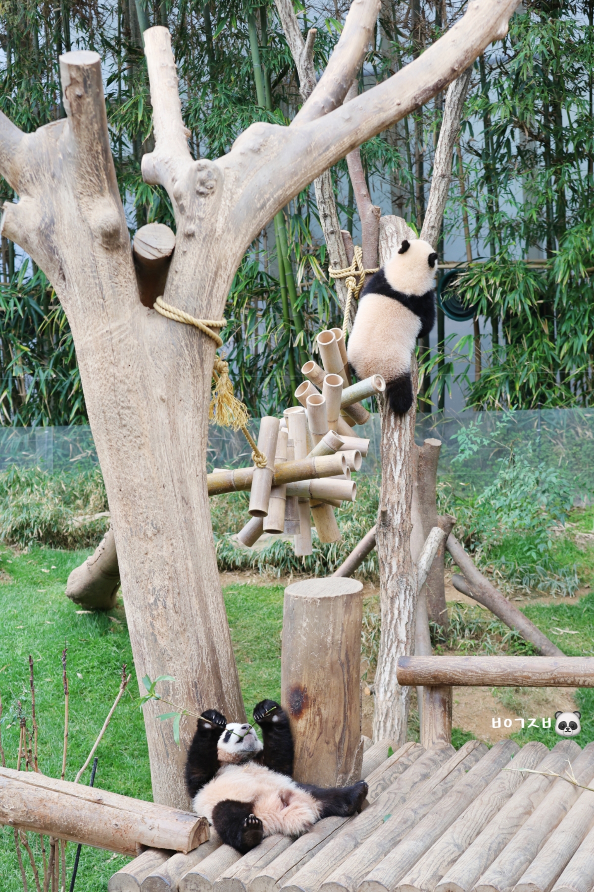 더쿠 - HKT48 16싱글 히로나, 모카 이벤트 추가부수 접수개시