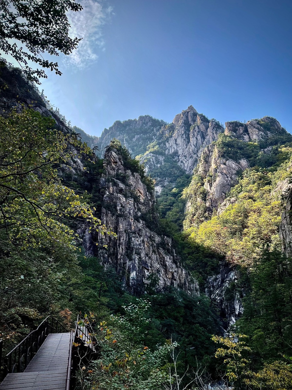 더쿠 - 오늘 외국인이 찍은 설악산 사진