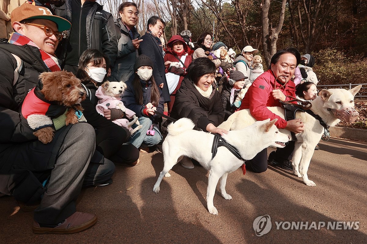 더쿠 서대문구 반려견과 함께하는 산책로 및 놀이터 개장 행사에 참석한 반려견들