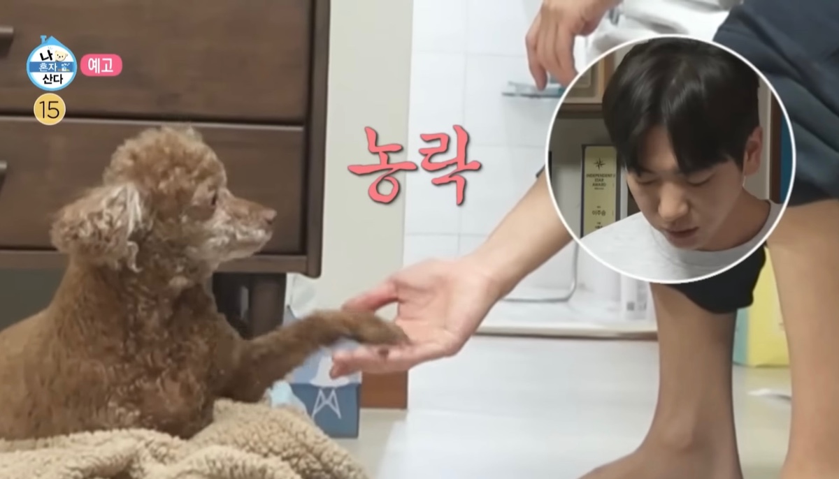 더쿠 - 이주승 강아지 무려 한달간 봐줘야함