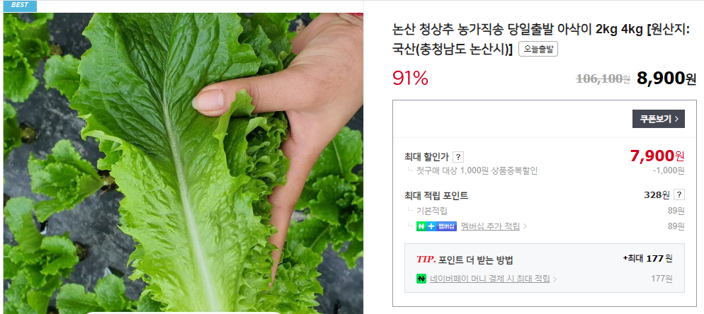 더쿠 - 청상추 2kg 7,900원