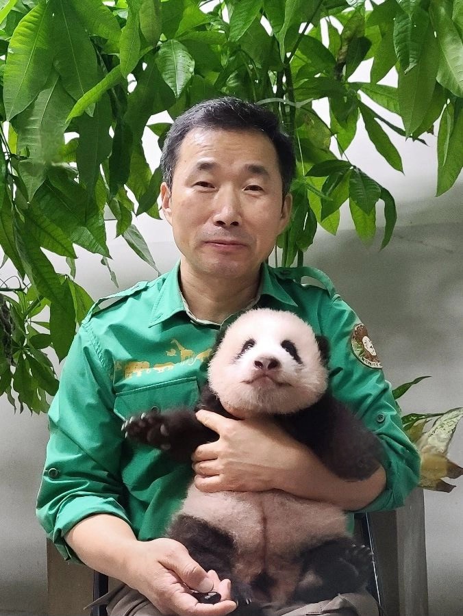 더쿠 - 이사진 있는 돌멩이 있오?