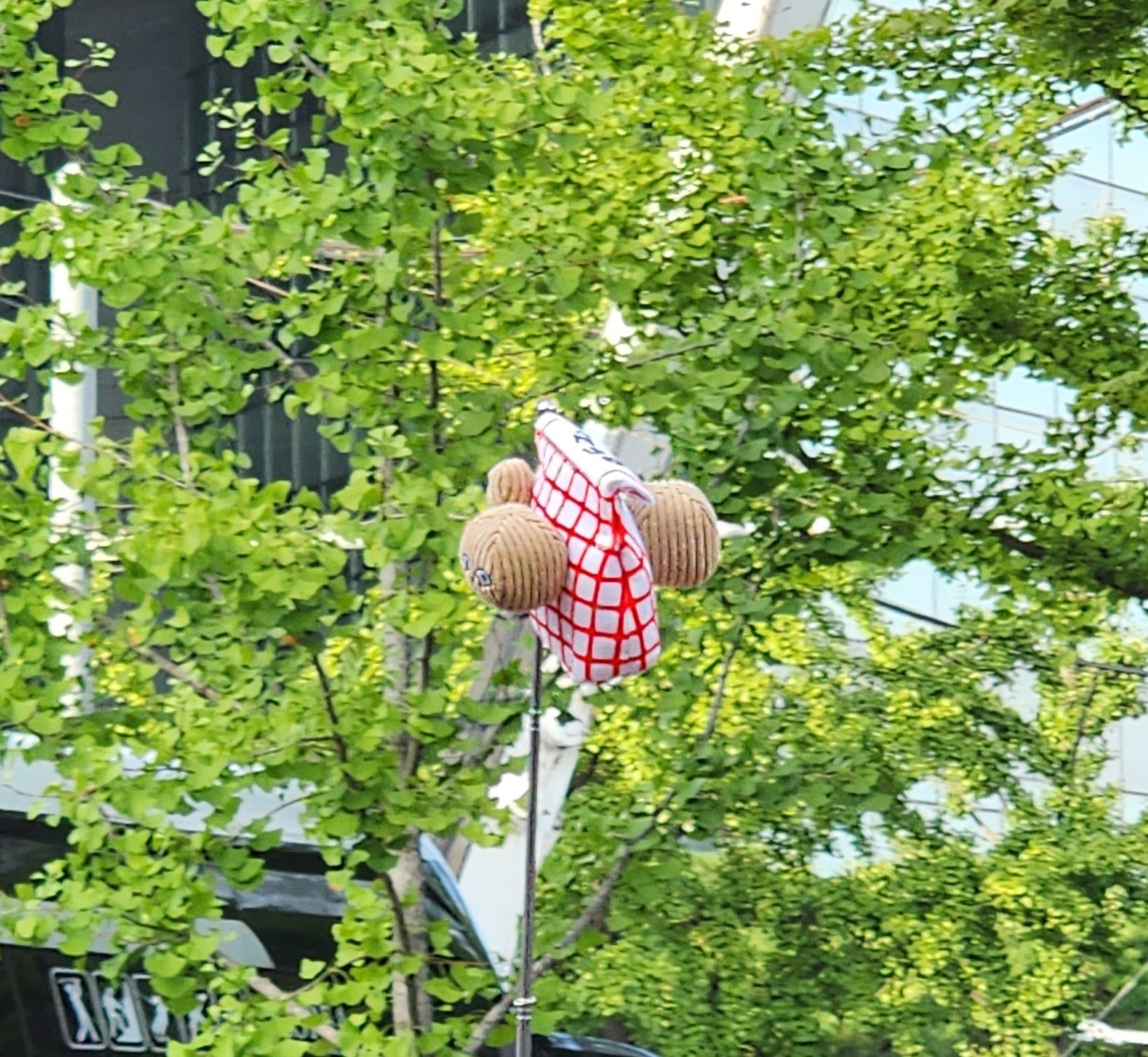 더쿠 - 교사집회 와중에 귀여운 지역 표시