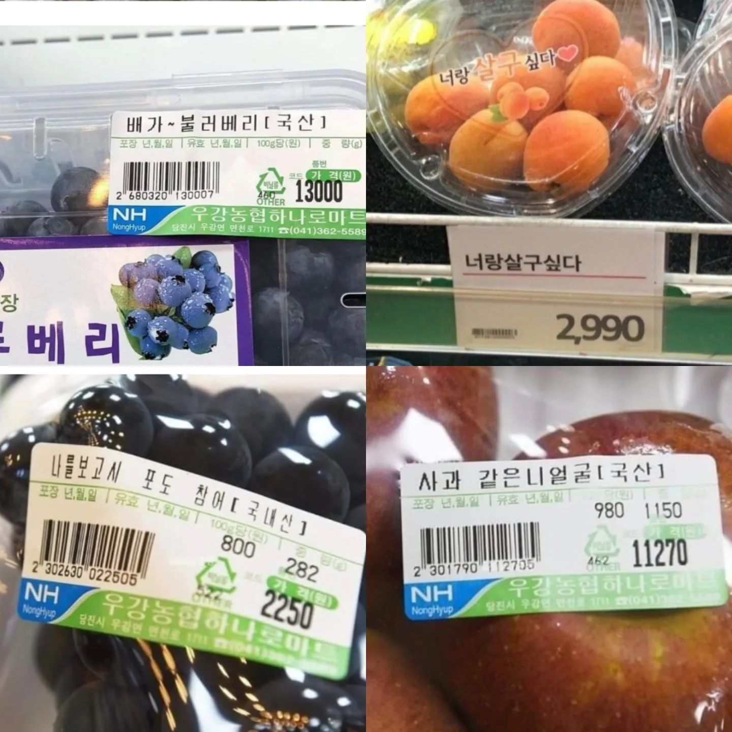 더쿠 농협 하나로마트 작명소 Ft 우강