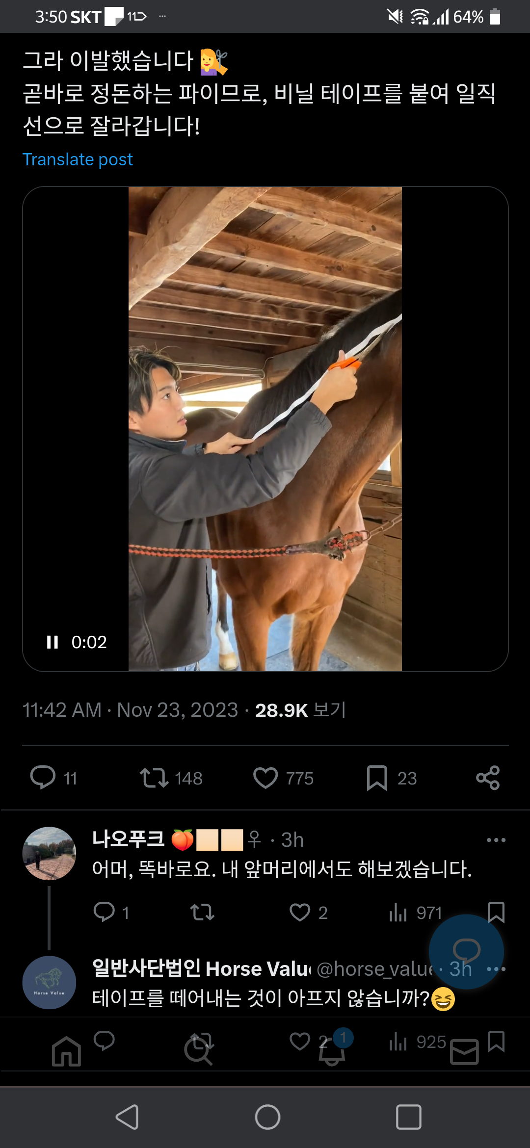 더쿠 - 갈기 미용하는 모습(경주마)