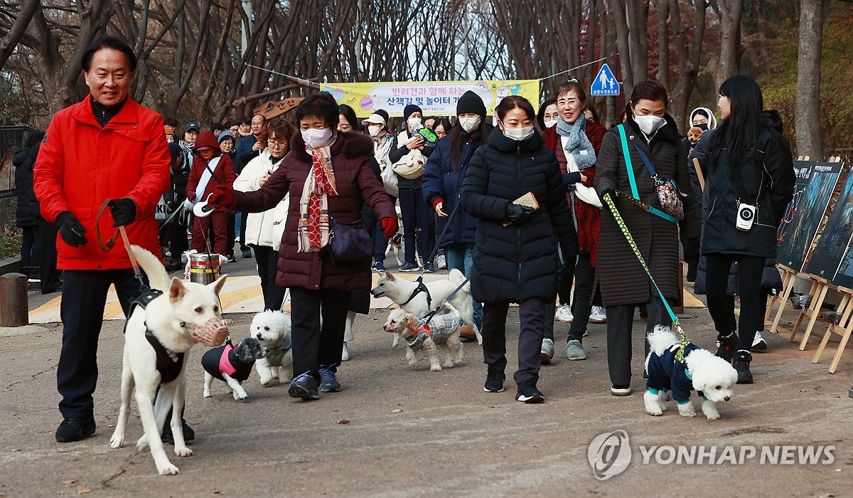 더쿠 서대문구 반려견과 함께하는 산책로 및 놀이터 개장 행사에 참석한 반려견들