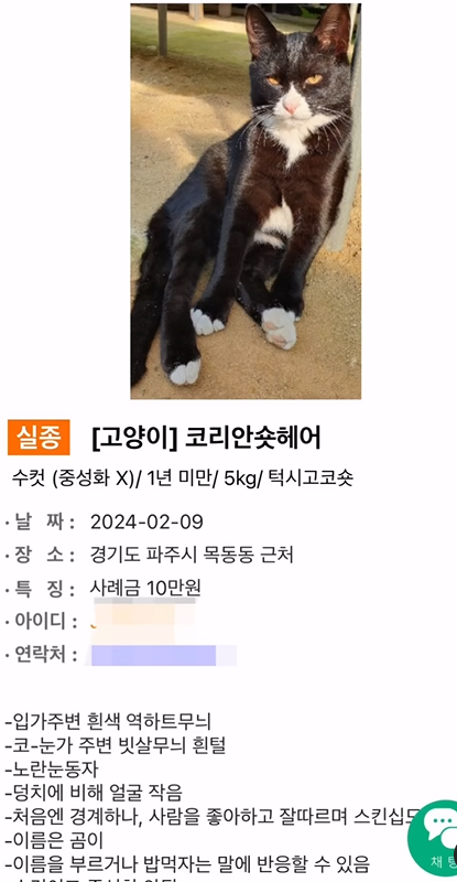 더쿠 파주 유기견 유기묘 입양 연쇄학대살해사건 범인 99년생 남자 청원 링크있음