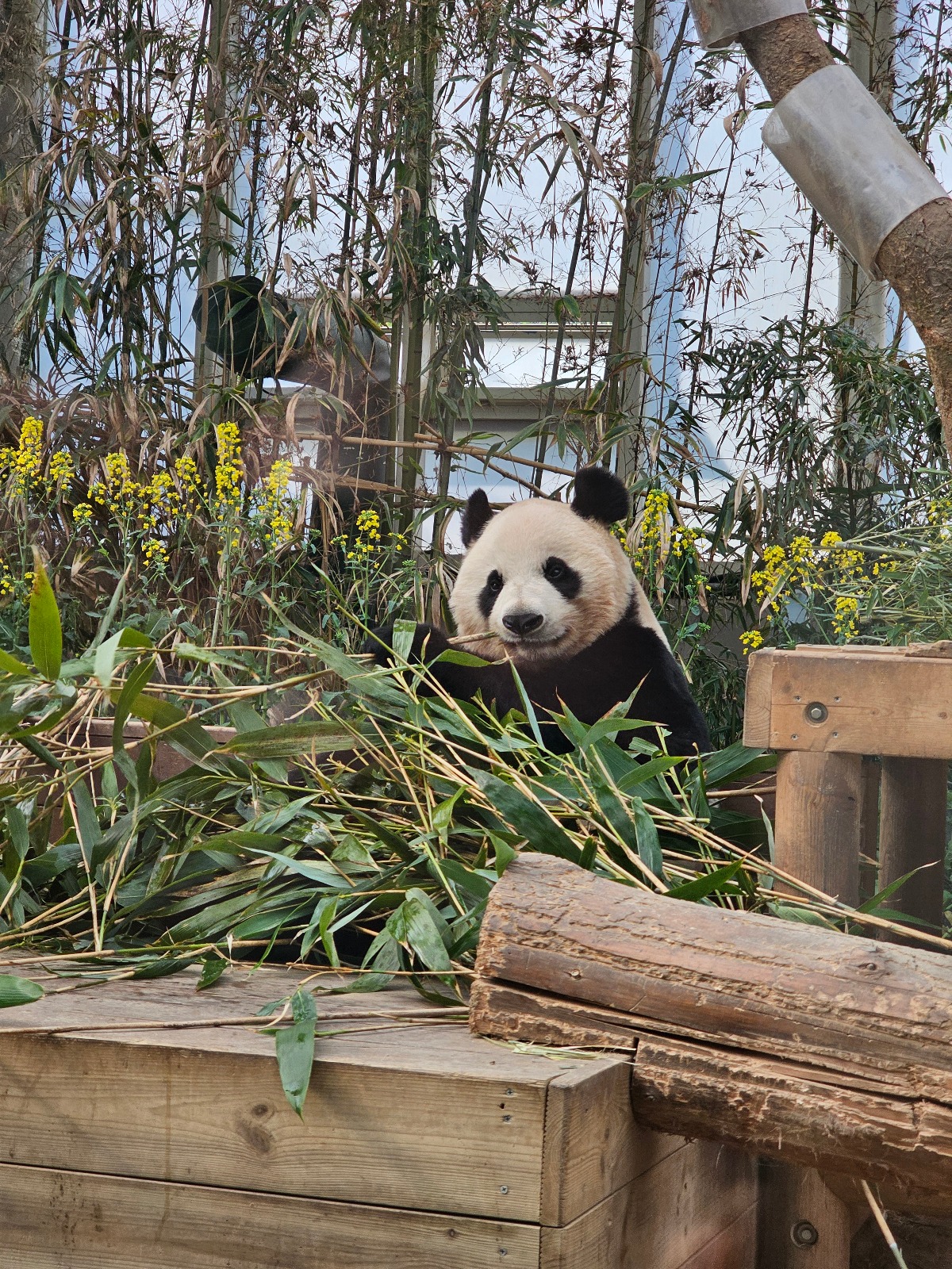 더쿠 - 오늘 사람 역대급이라 현줄 네번으로 마감...