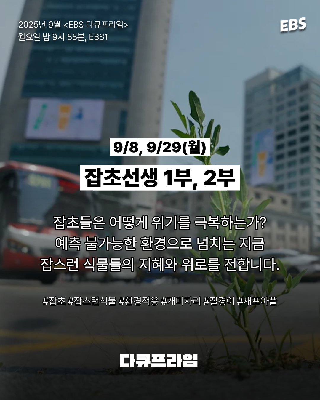 더쿠 - 가을 개편을 맞아 EBS PD들이 작정하고 만든 신규 라인업