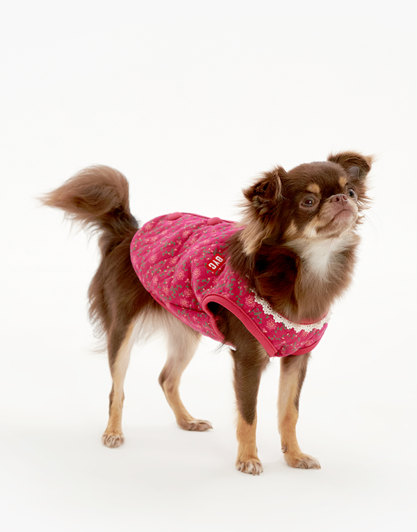 더쿠 - BYC가 23FW '개리야스' 신제품 중 김장조끼를 선보였습니다.