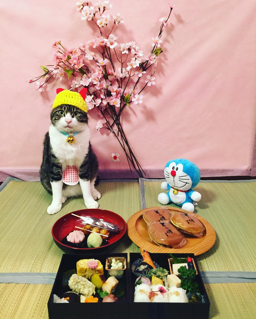 더쿠 - 어서오세요 오전에도 운영하는 고등어 식당 입니다~