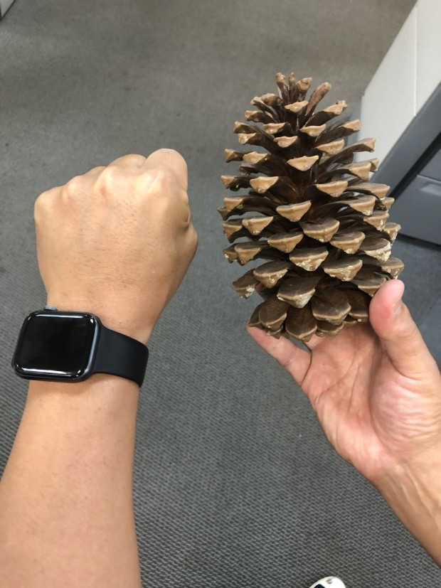 더쿠 - 미국 국립공원에서 머리가 안깨지게 조심해야 하는 이유.jpg