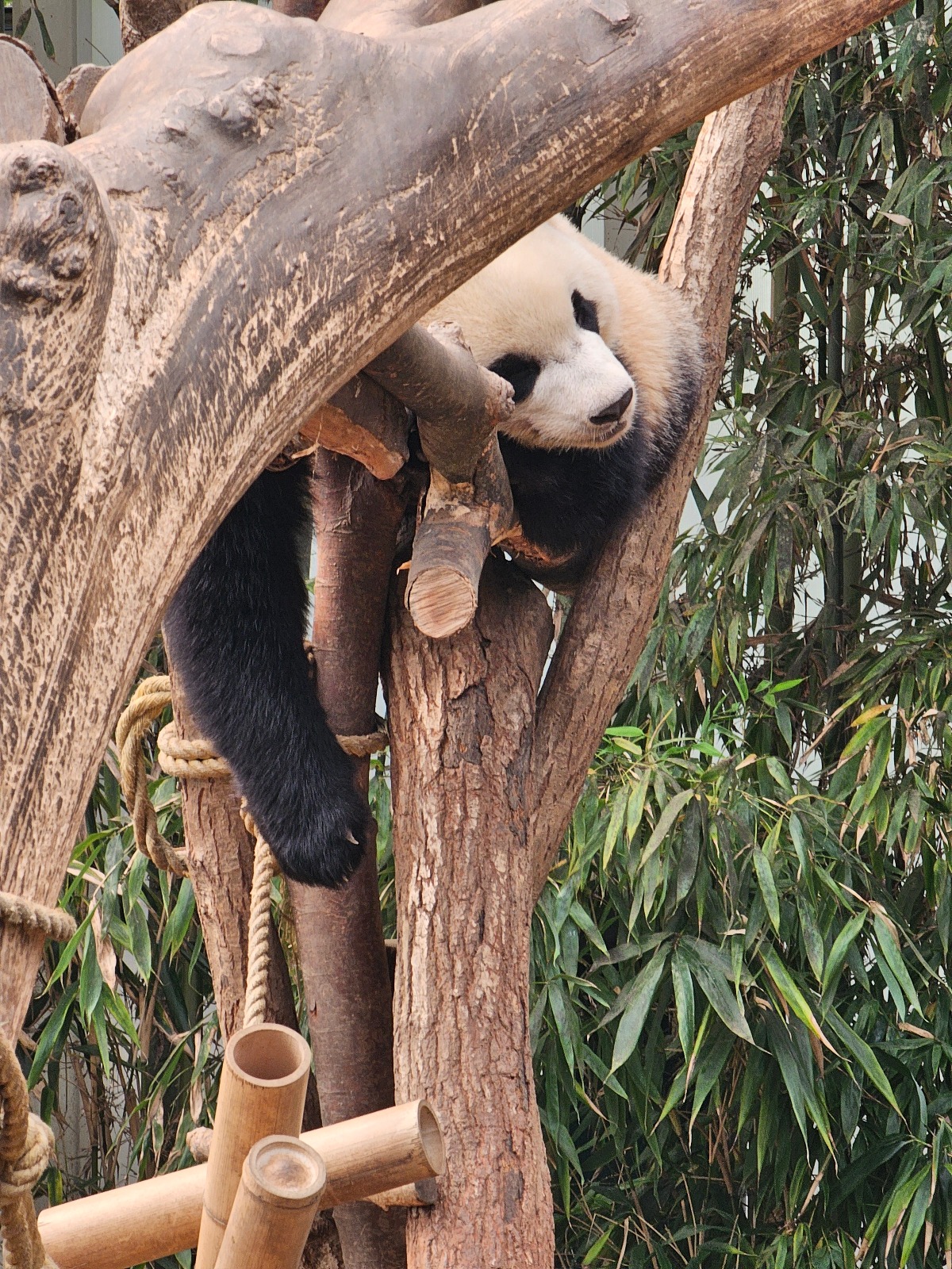 더쿠 - 오늘 사람 역대급이라 현줄 네번으로 마감...