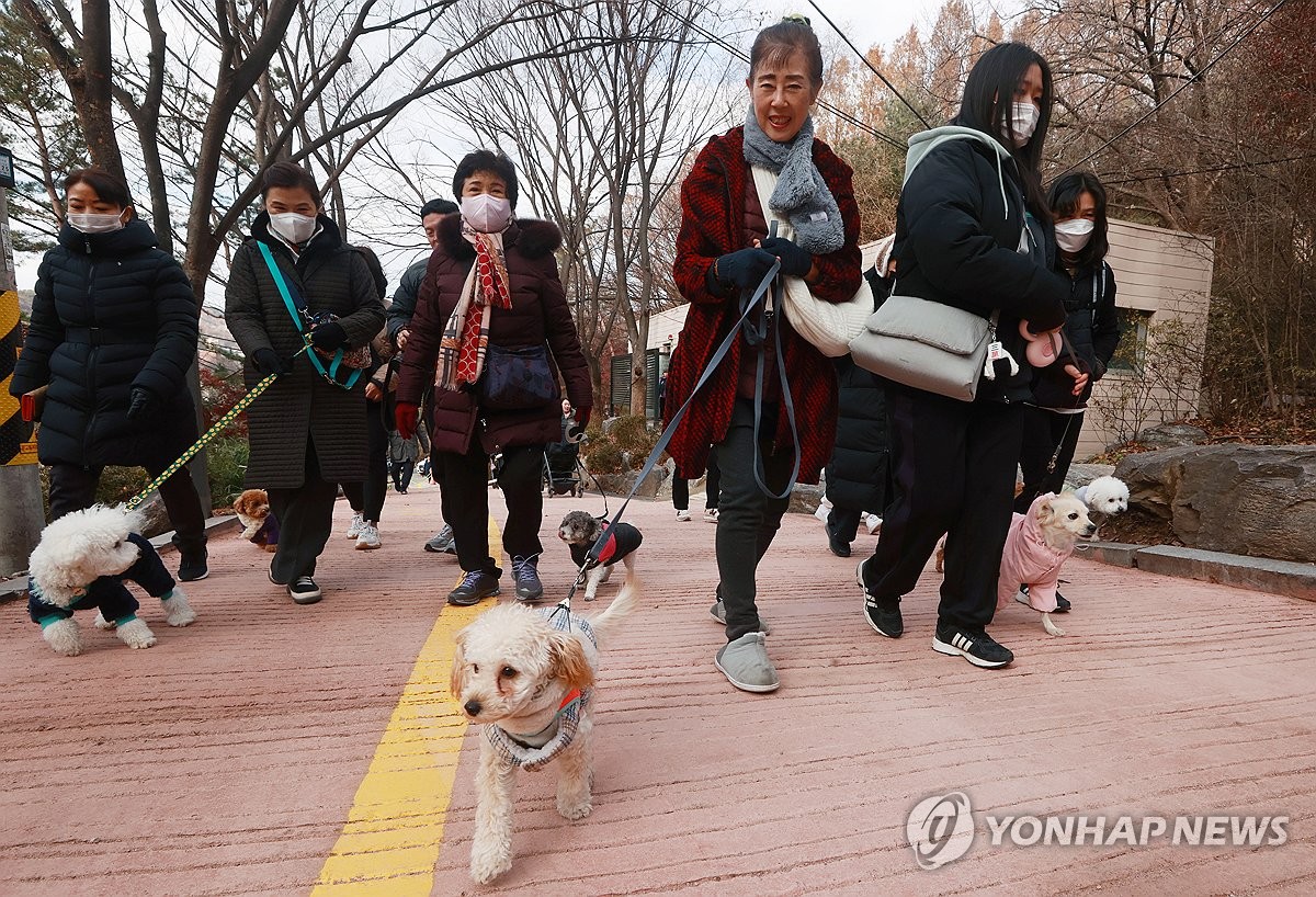 더쿠 서대문구 반려견과 함께하는 산책로 및 놀이터 개장 행사에 참석한 반려견들