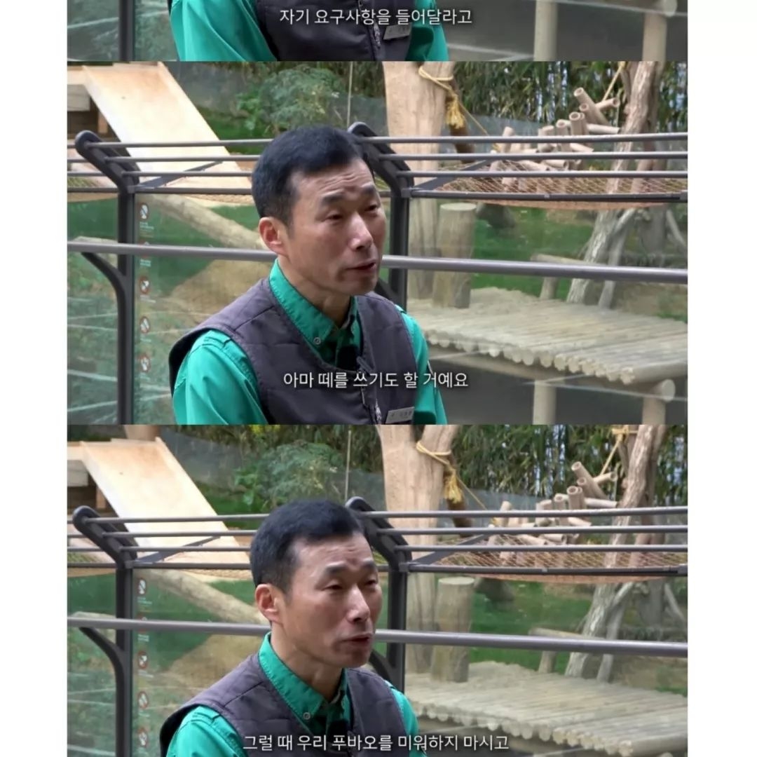 더쿠 강철원 사육사가 푸바오 중국 사육사에게 보내는 편지