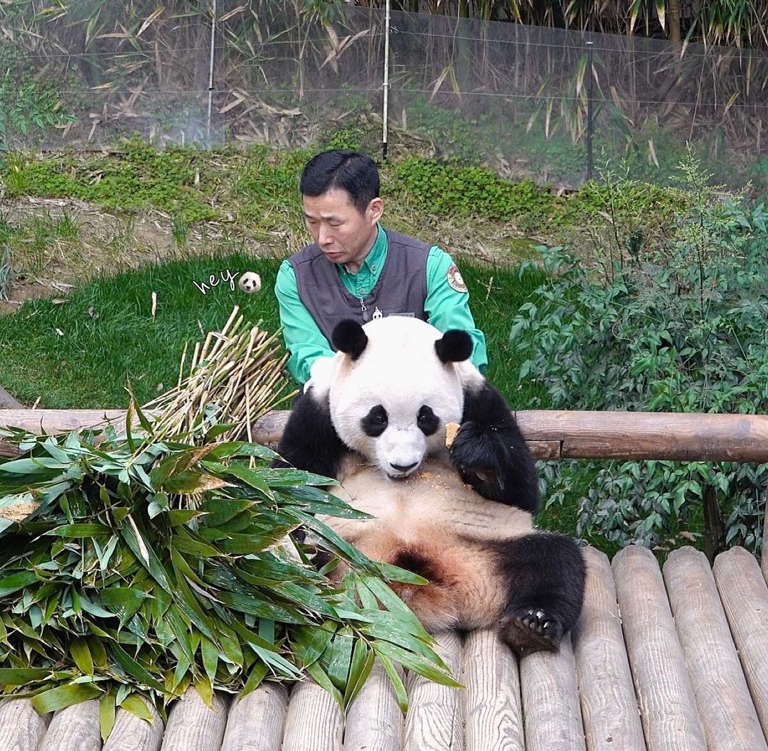 더쿠 - 푸 당근 받은 사진 순서 보니까 귀엽고 짠하고ㅠㅠㅠ
