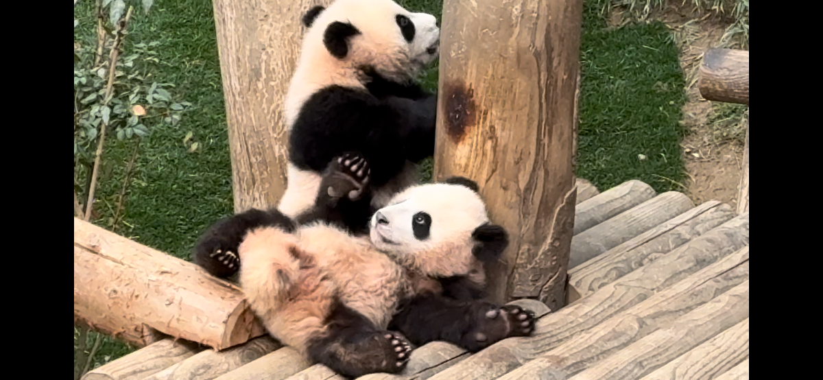 더쿠 - 아이고 후쪽아