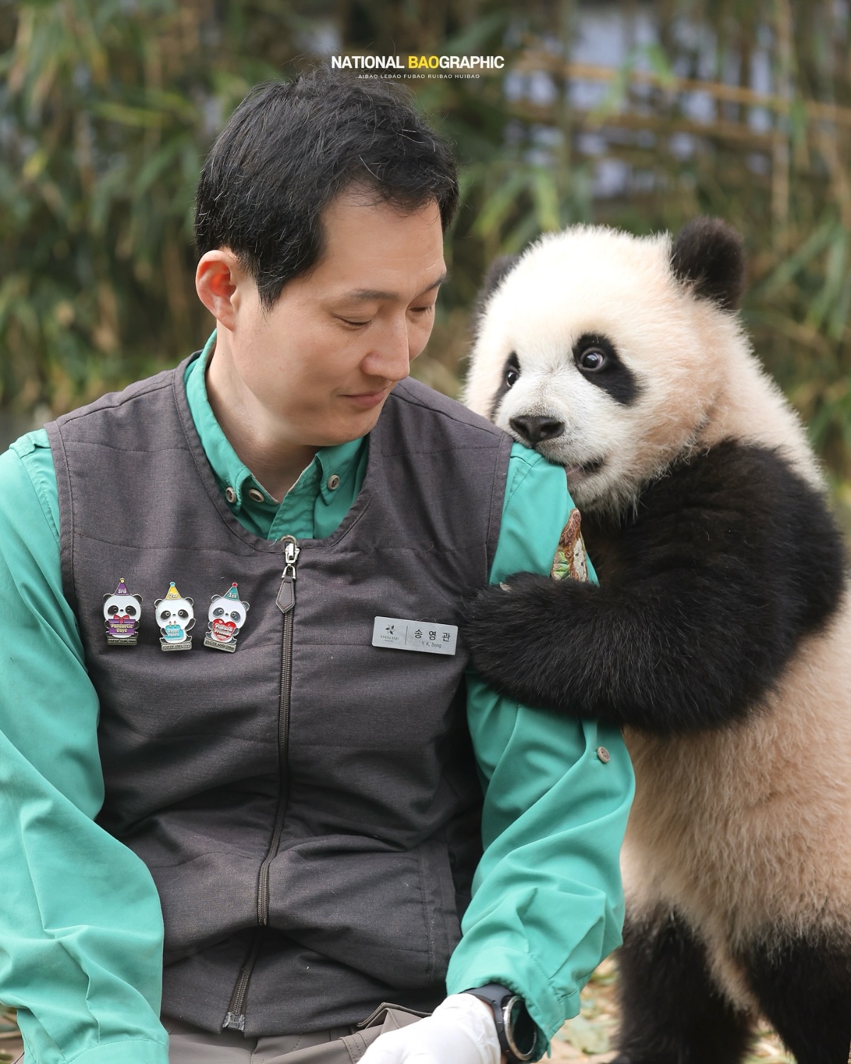 더쿠 - 이제 걍 송바오는 할부지 취급도 안해주능게 웃김 ㅜㅜㅋㅋ