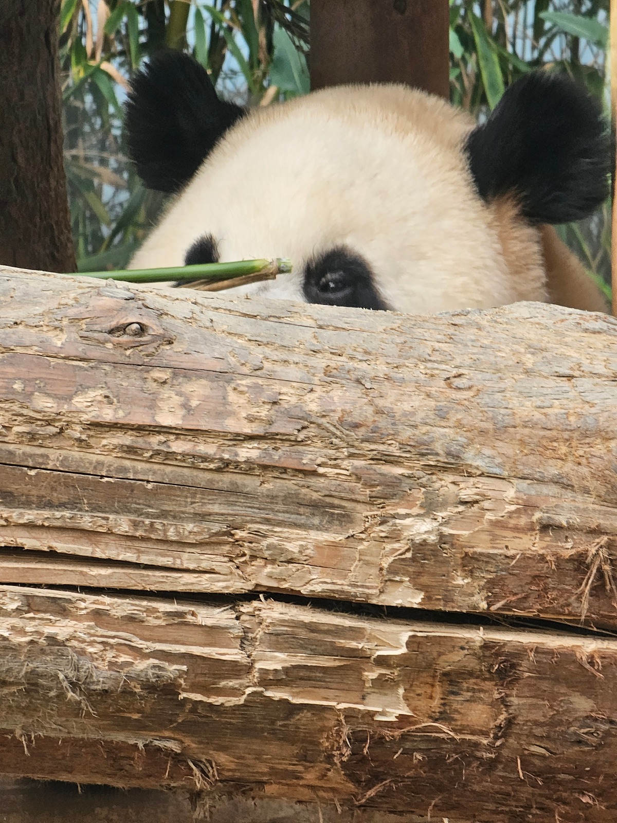 더쿠 - 오늘 사람 역대급이라 현줄 네번으로 마감...