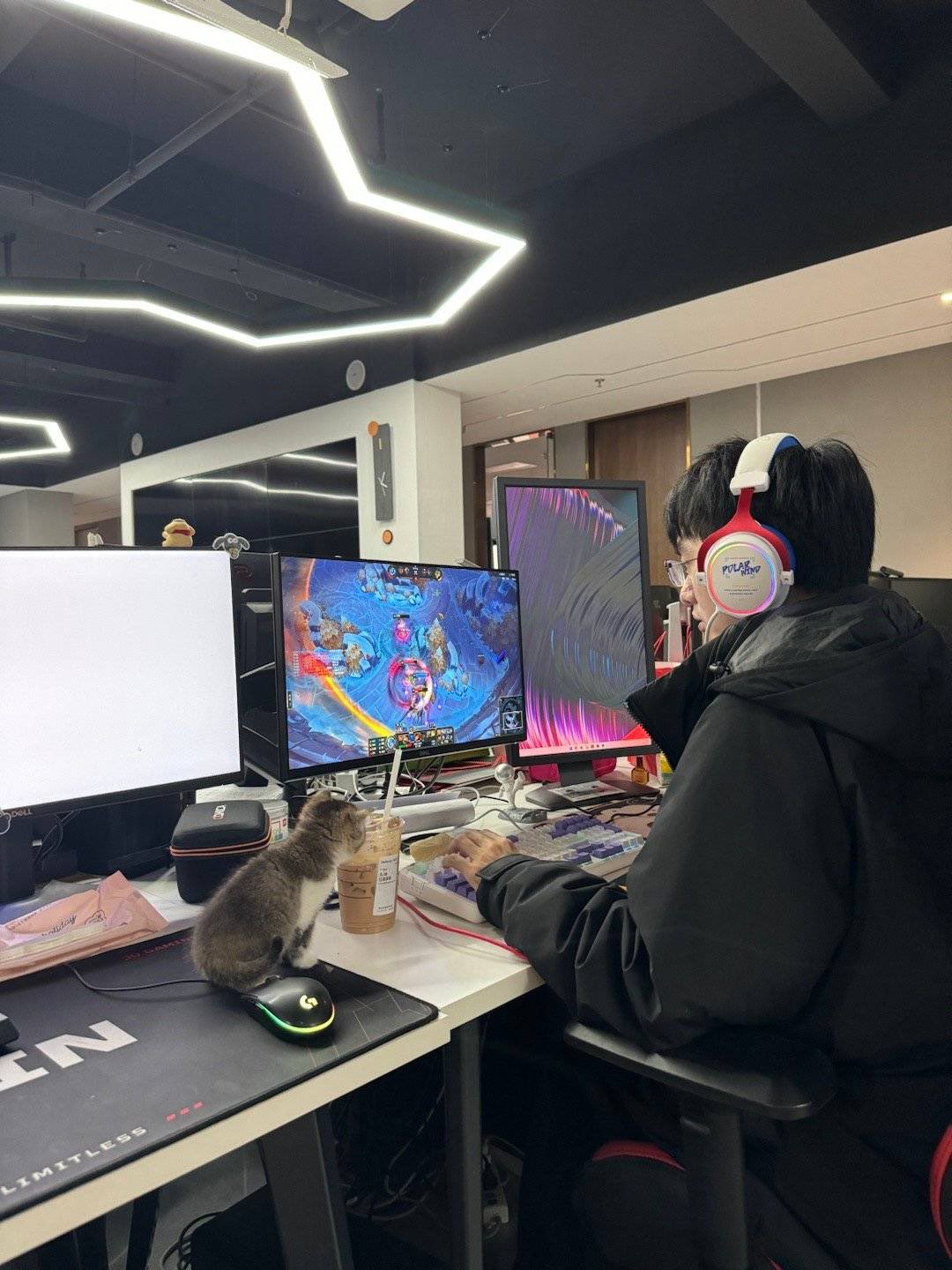 더쿠 - 플랑드레 겜하는거 구경하는 냥이