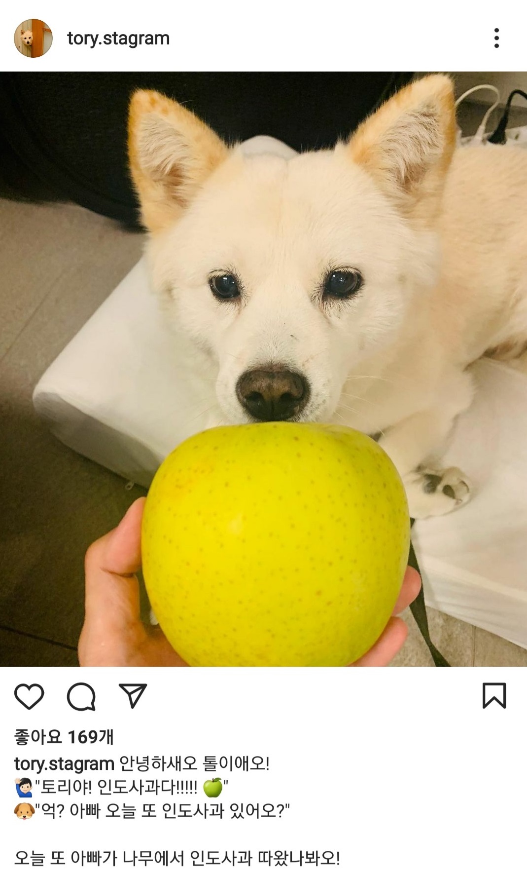 더쿠 - 윤석열 인스타그램