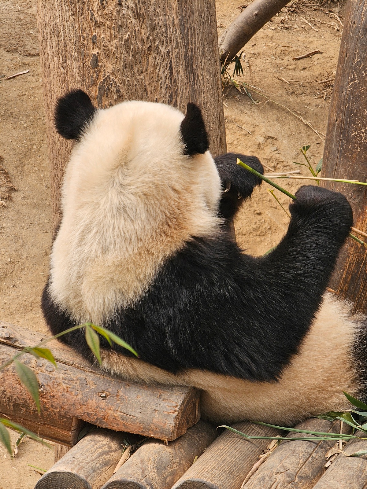 더쿠 - 오늘 사람 역대급이라 현줄 네번으로 마감...