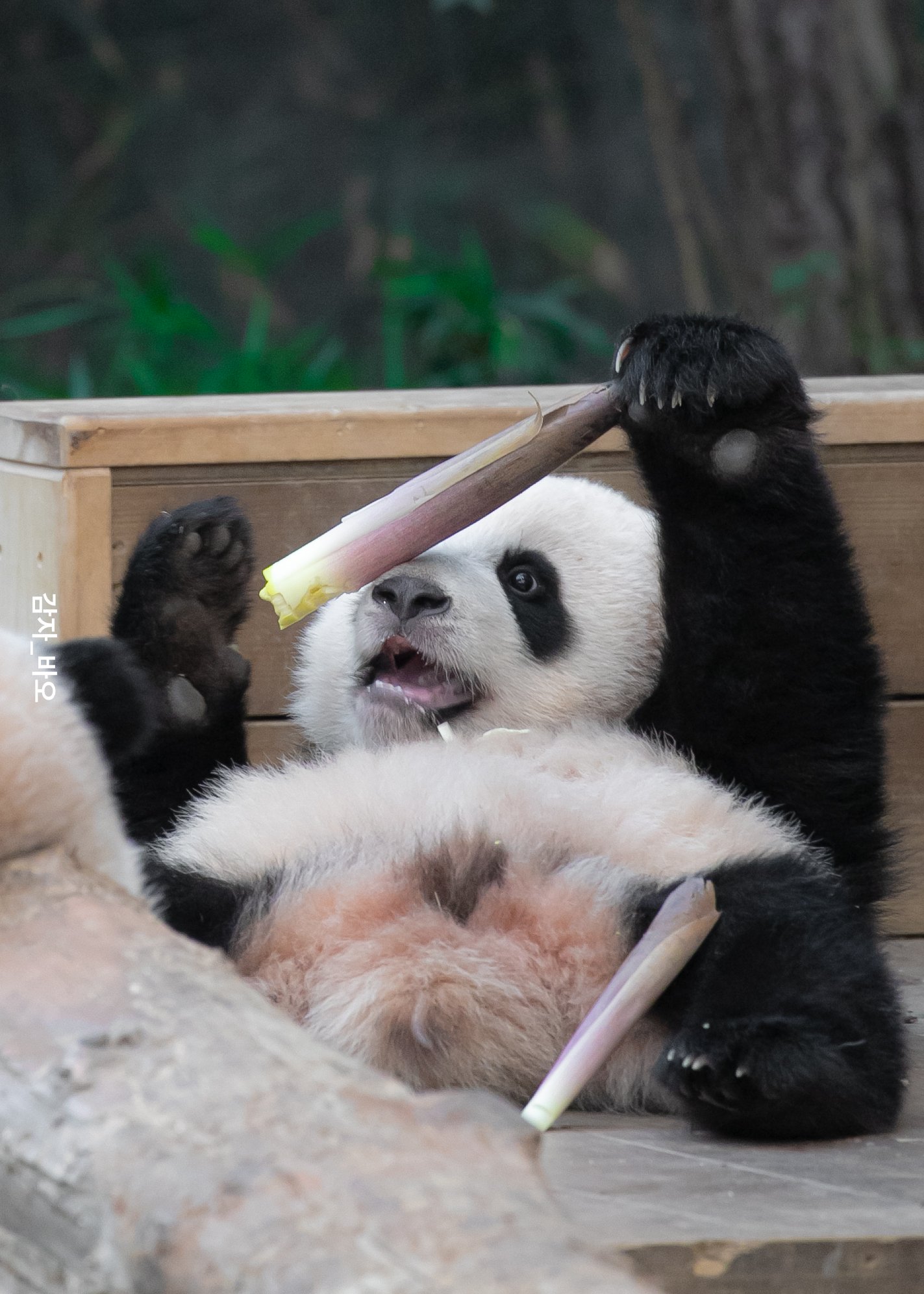 더쿠 - 심장 부여잡고 들어와ㅠㅠ
