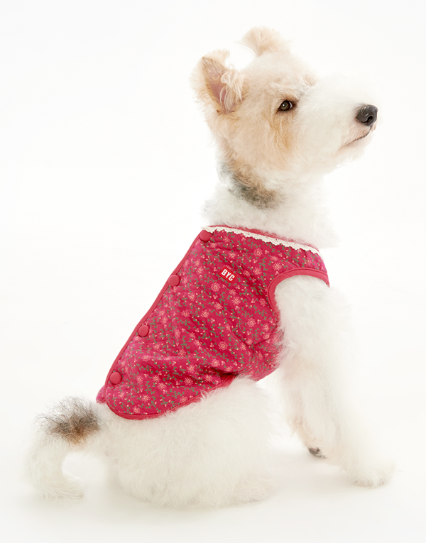 더쿠 - BYC가 23FW '개리야스' 신제품 중 김장조끼를 선보였습니다.