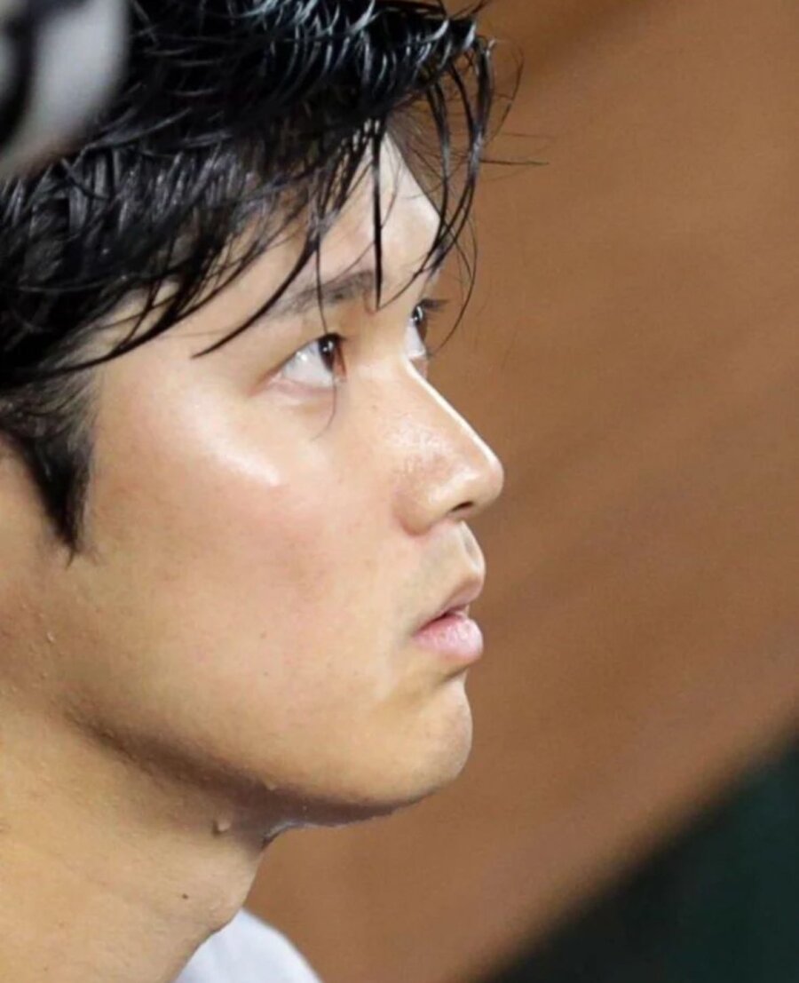 더쿠 - 오타니 쇼헤이 인스타 팔로워 추이.jpg