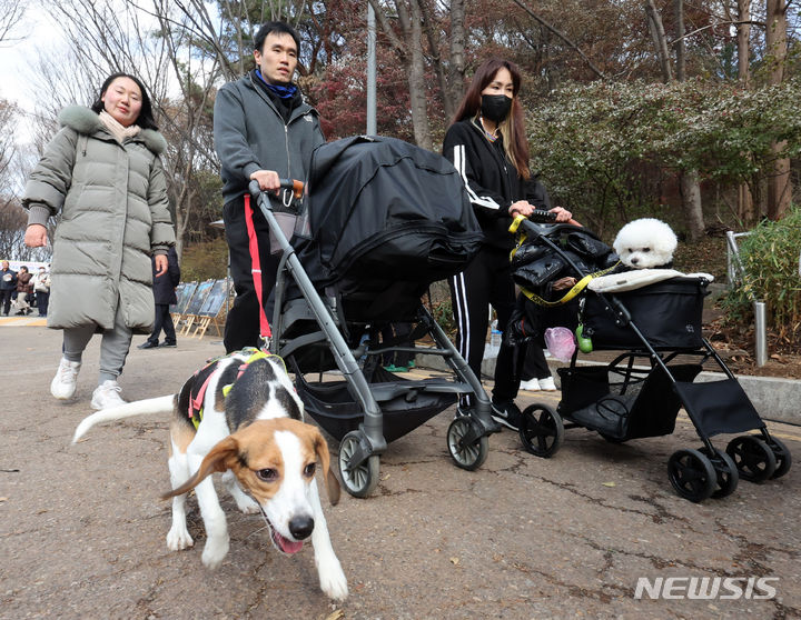 더쿠 서대문구 반려견과 함께하는 산책로 및 놀이터 개장 행사에 참석한 반려견들