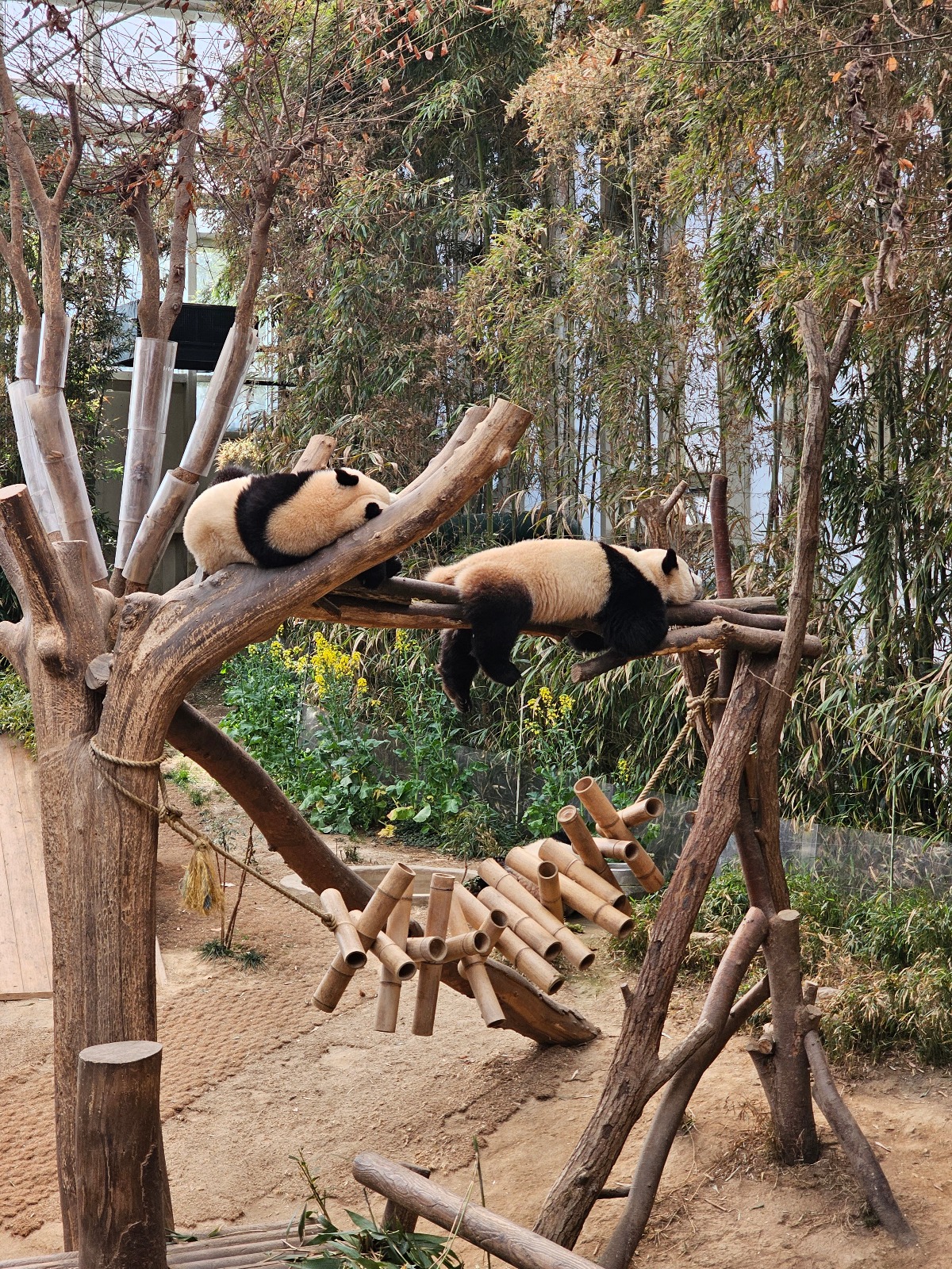 더쿠 - 오늘 사람 역대급이라 현줄 네번으로 마감...