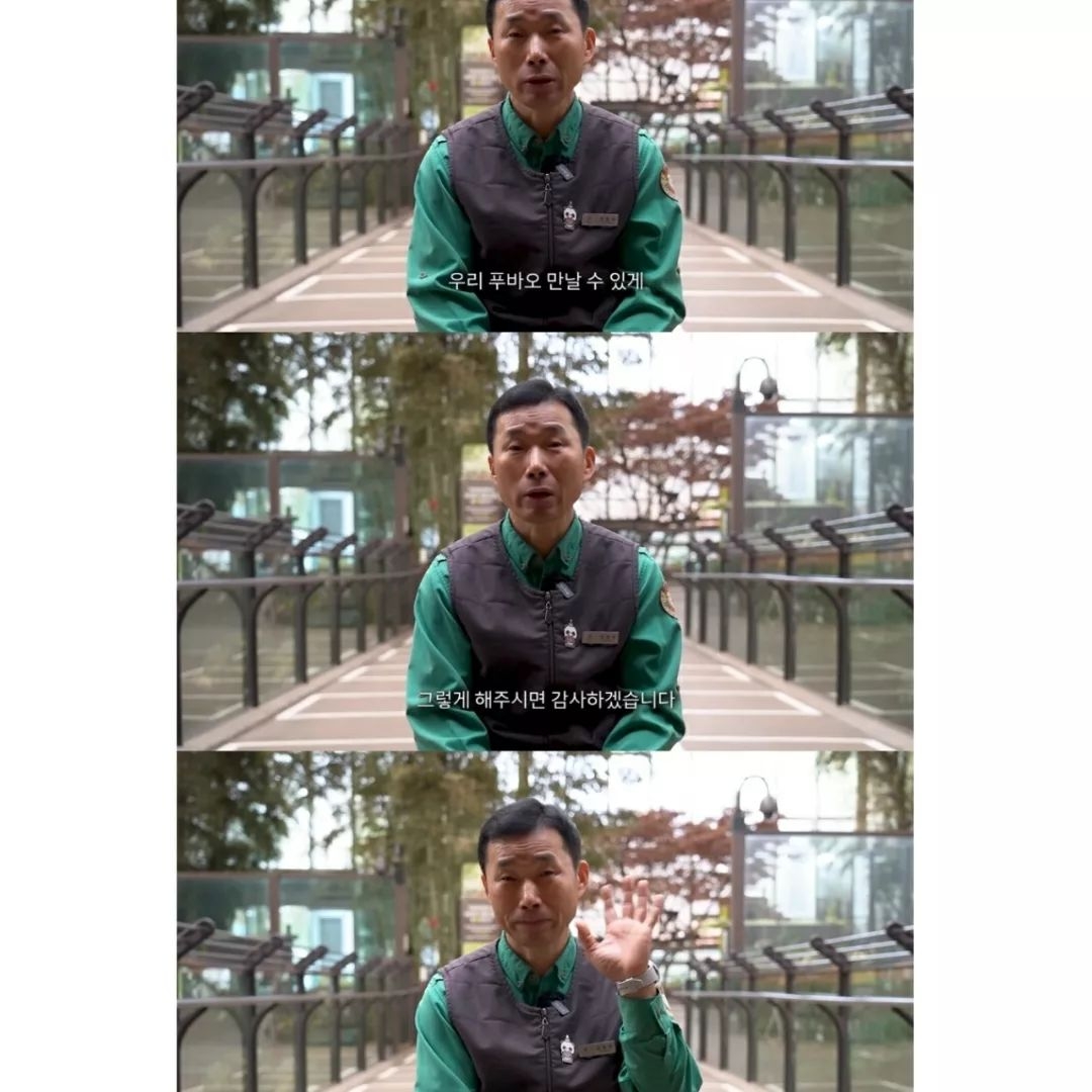 더쿠 강철원 사육사가 푸바오 중국 사육사에게 보내는 편지
